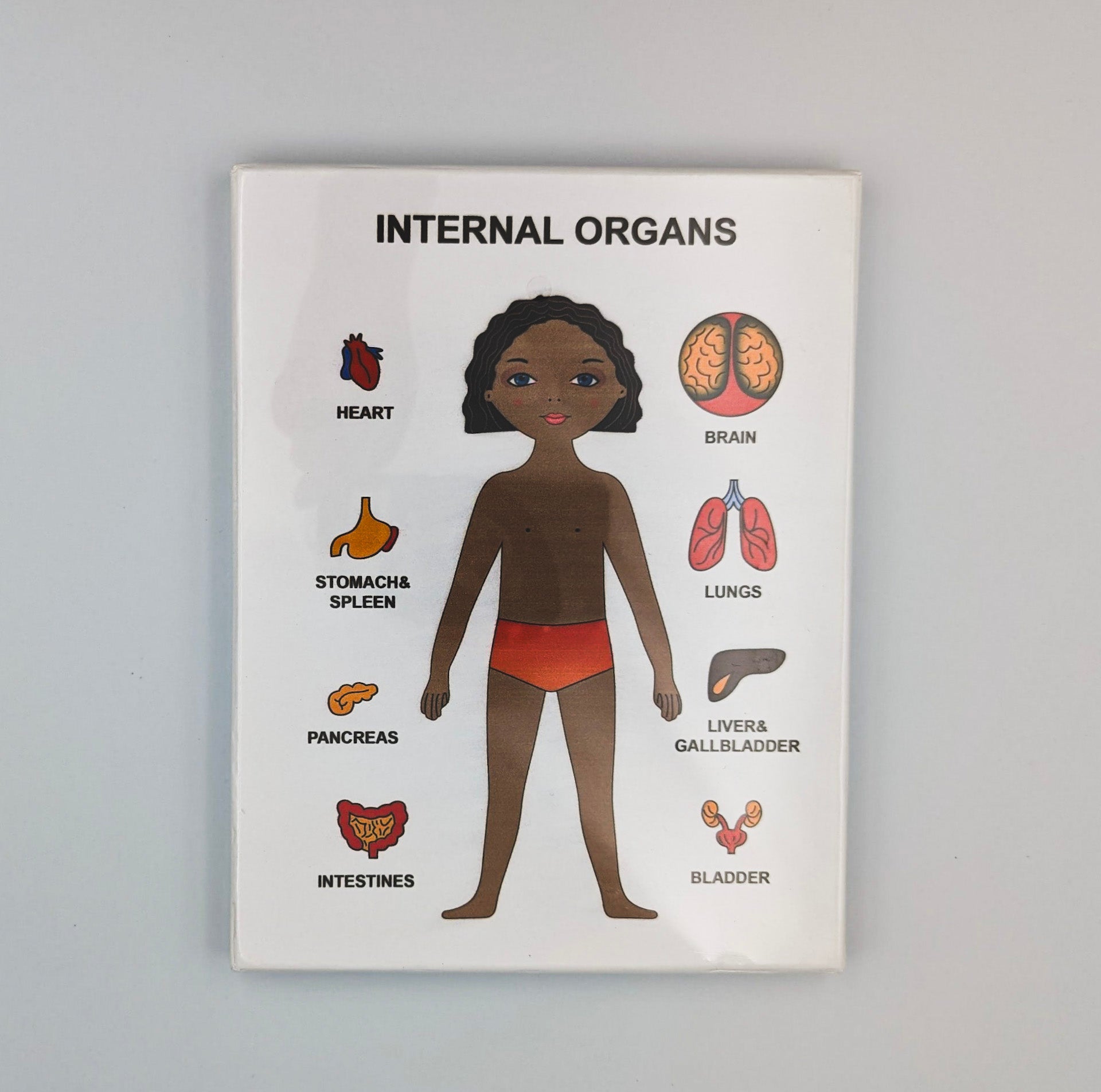 Internal Organ Puzzle – Wonderfun