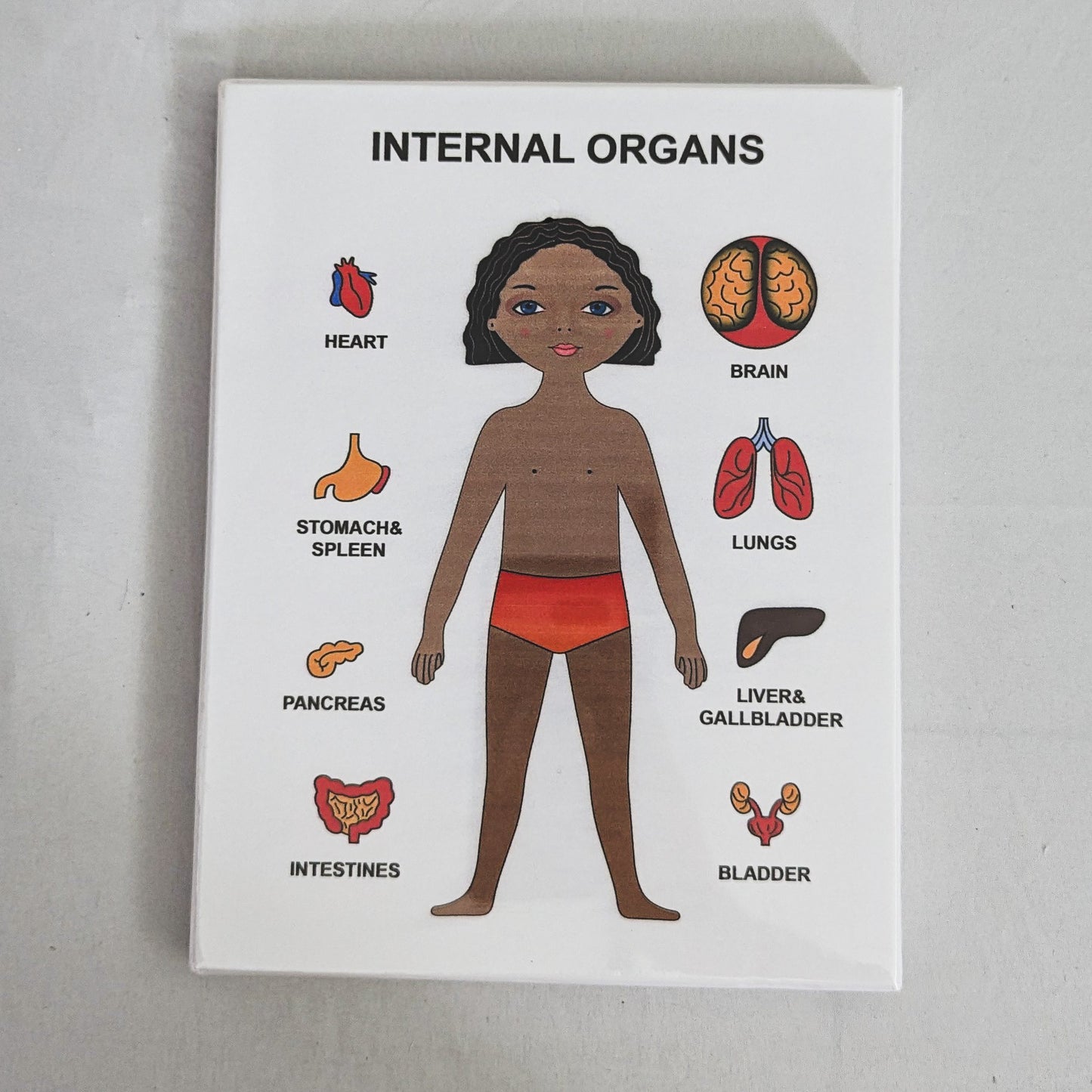 Internal Organ Puzzle – Wonderfun